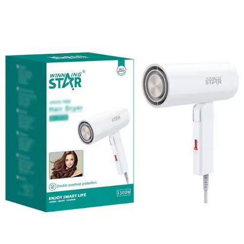WINNING STAR Hair Blow Dryer Low Noise Compact Mini One Step Salon ...